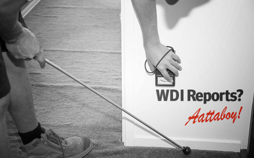 WDI Reports - Aattaboy